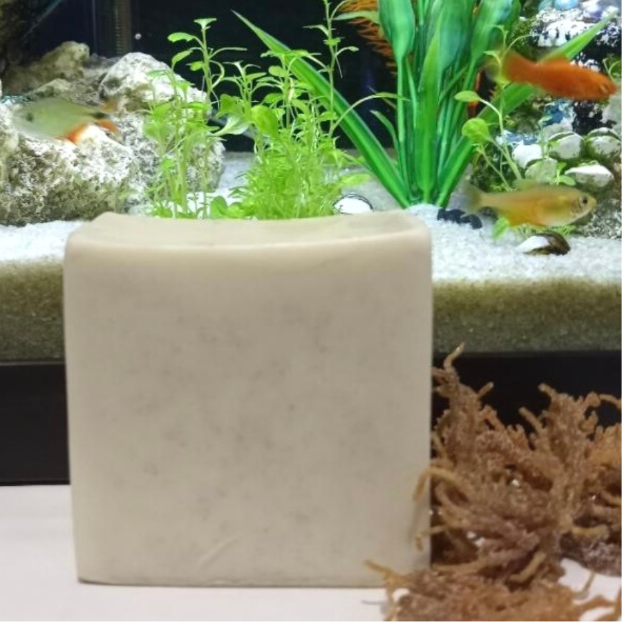 SEA MOSS SOAP BAR – Solar Holistics